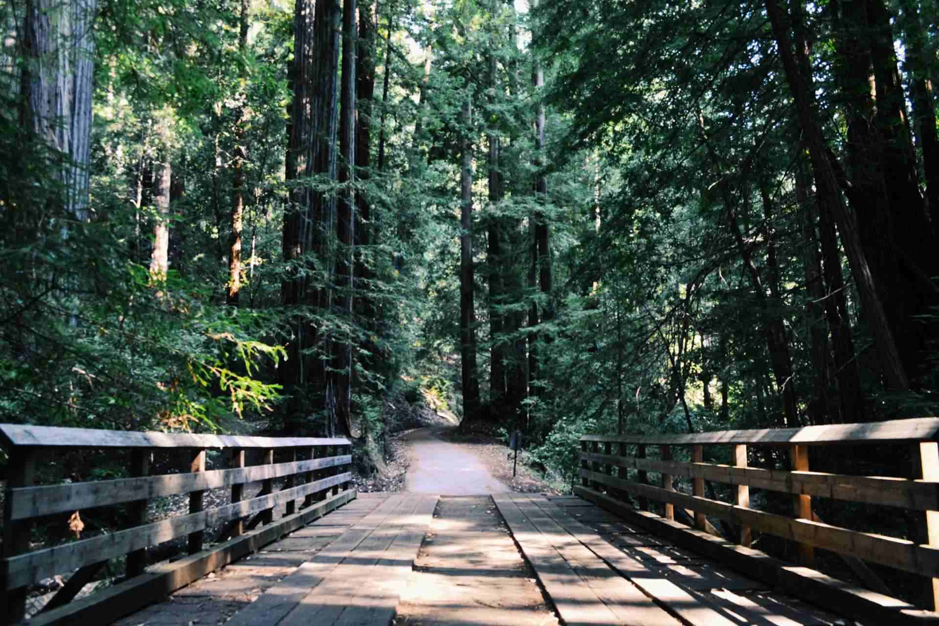 Five Public Sector Trends in Ecosystem Services - TESCAI